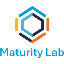 Enterprise Process Maturity Dashboard (PEMM)
