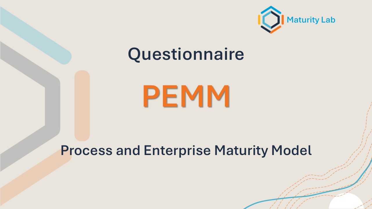 PEMM Questionnaire - Maturity in Business Process